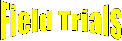 2005 Wet Reflective Markings Field Test